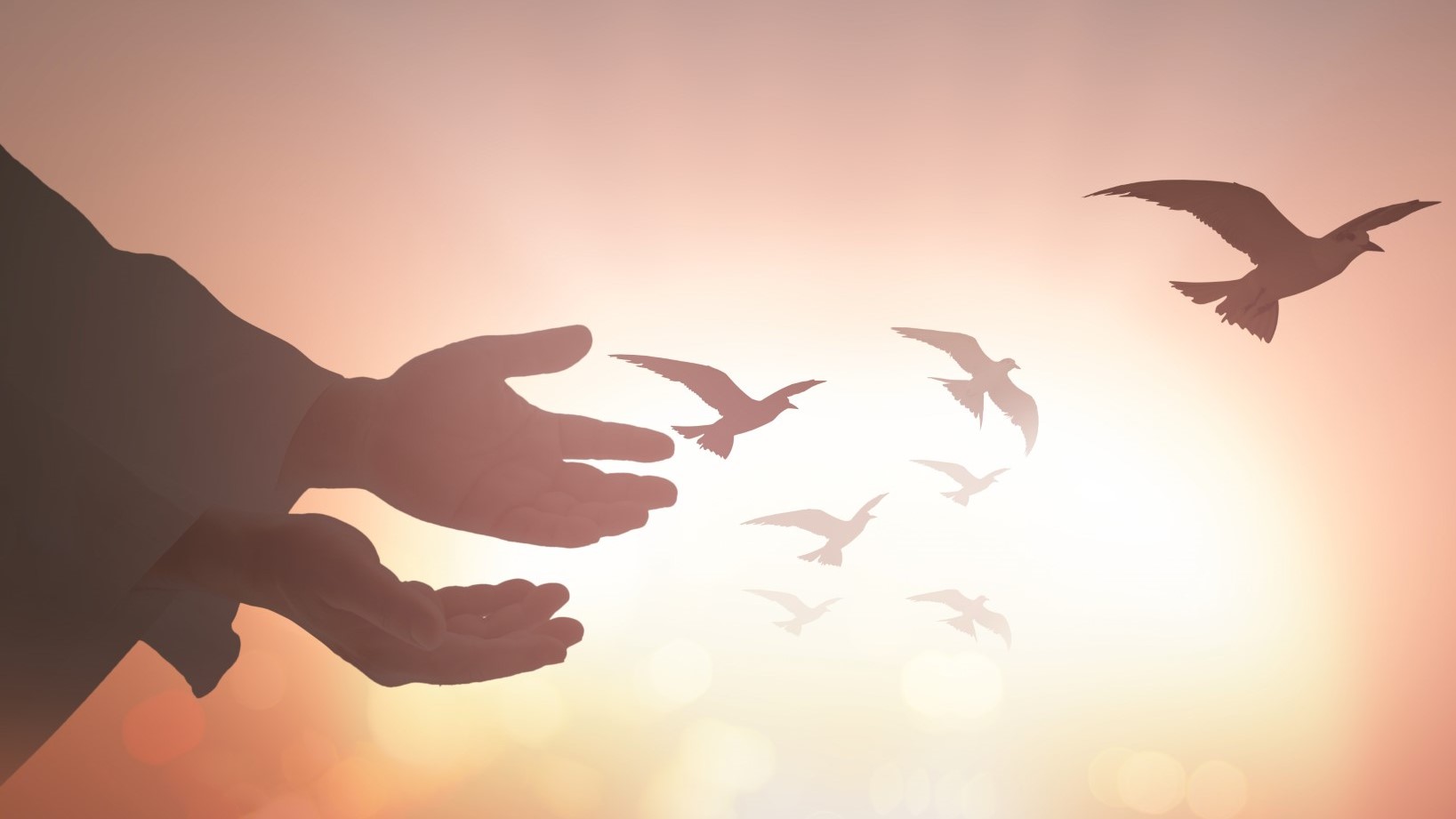 Religious Relationships • All You Need To Know 2024 • Datingroo ZA